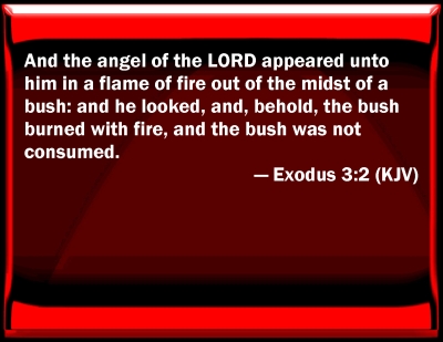 Bible Verse Powerpoint Slides for Exodus 3:2