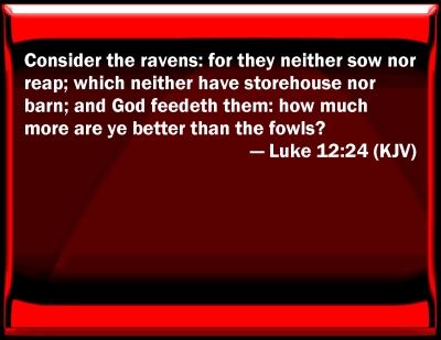 Bible Verse Powerpoint Slides for Luke 12:24