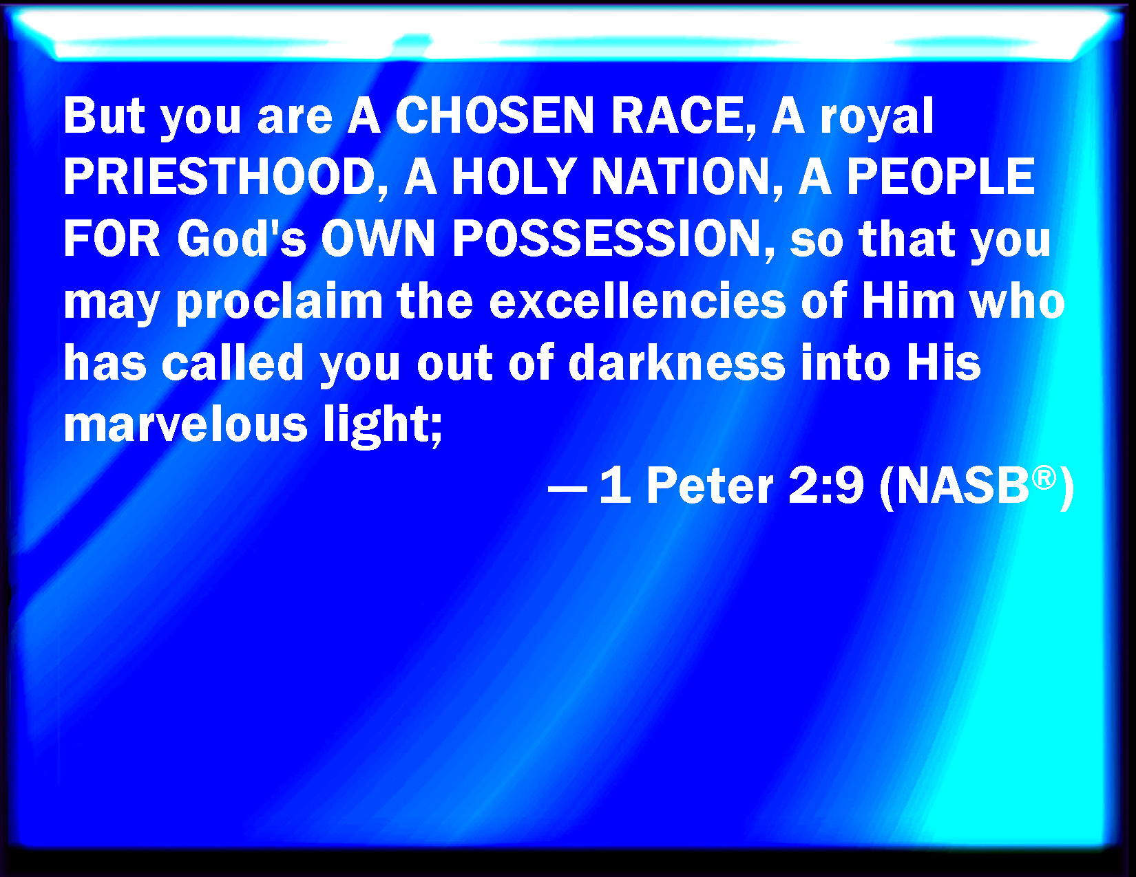 1 Peter 2 9 But You Are A Chosen Generation A Royal Priesthood An