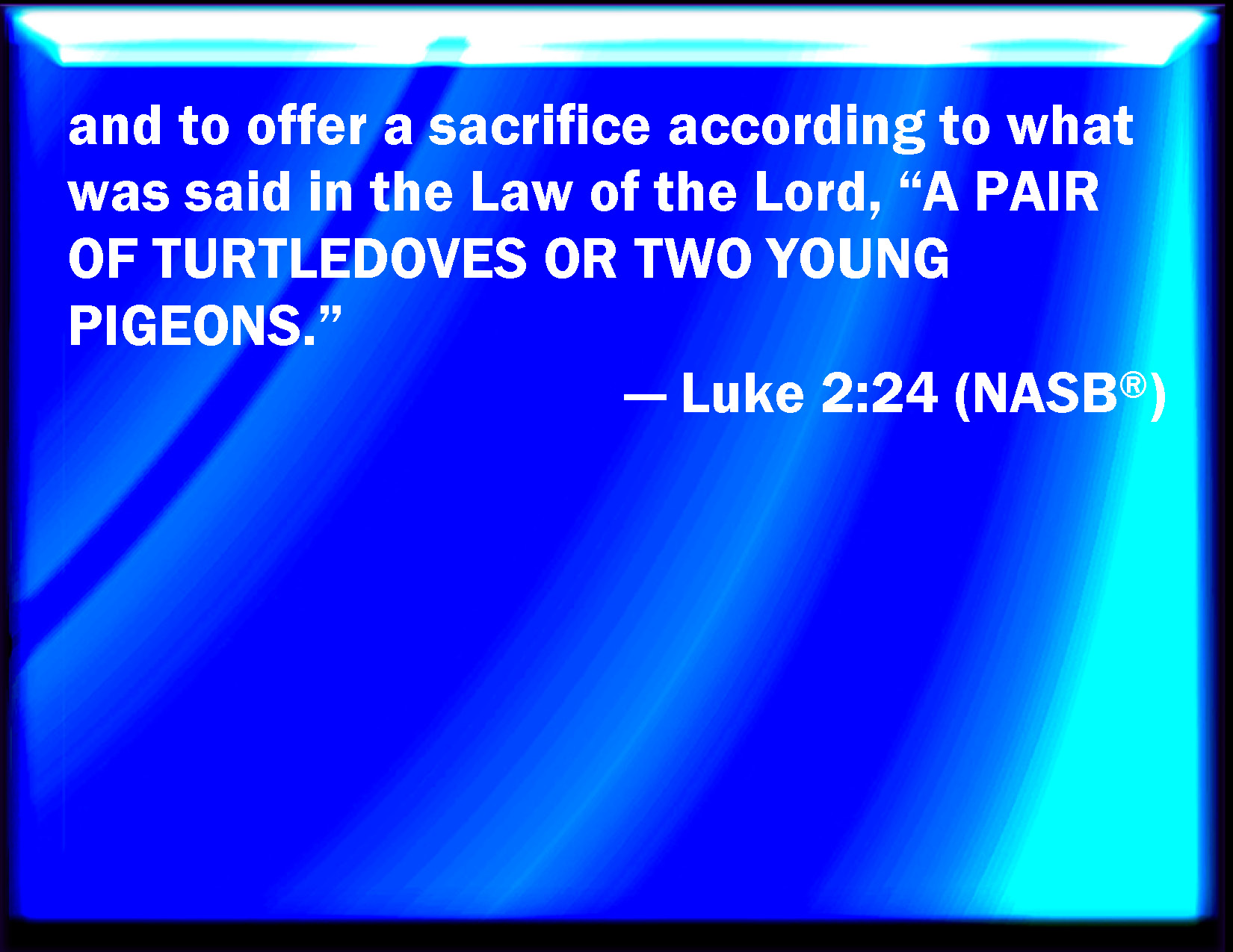 Luke 2 24 And To Offer A Sacrifice According To That Which Is Said In