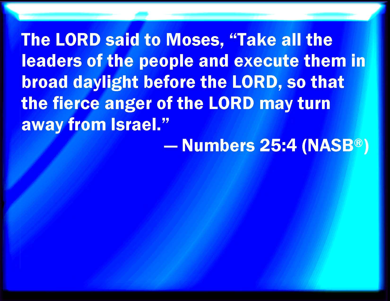 Numbers 25 4 And The LORD Said To Moses Take All The Heads Of The
