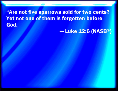 Bible Verse Powerpoint Slides for Luke 12:6