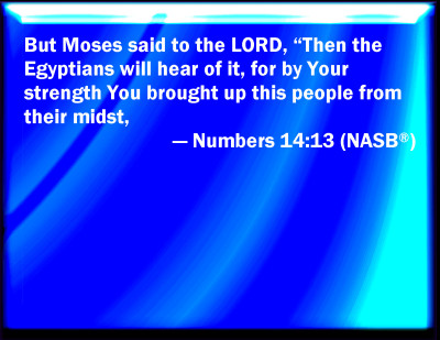 Bible Verse Powerpoint Slides for Numbers 14:13
