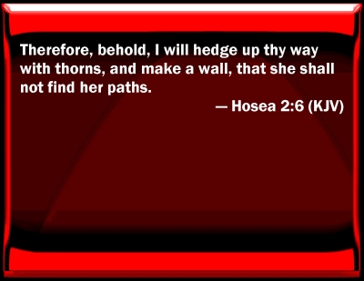 Bible Verse Powerpoint Slides for Hosea 2:6