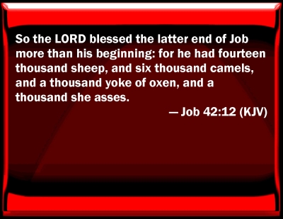 Bible Verse Powerpoint Slides for Job 42:12