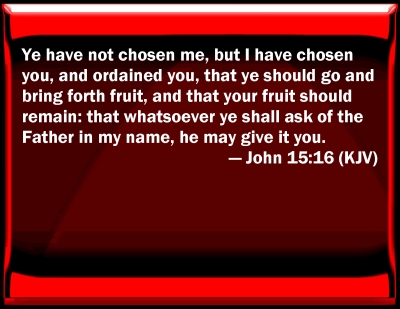 Bible Verse Powerpoint Slides for John 15:16