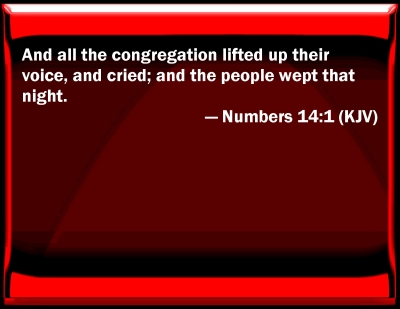 Bible Verse Powerpoint Slides for Numbers 14:1