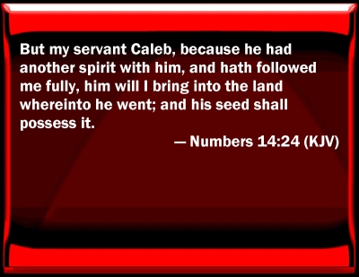 Bible Verse Powerpoint Slides for Numbers 14:24