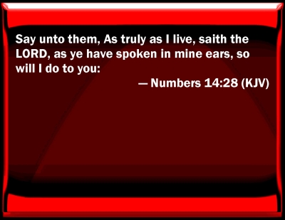 Bible Verse Powerpoint Slides for Numbers 14:28