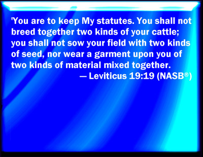 Bible Verse Powerpoint Slides for Leviticus 19:19