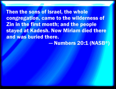 Bible Verse Powerpoint Slides for Numbers 20:1