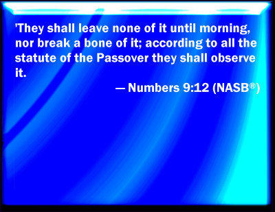 Bible Verse Powerpoint Slides for Numbers 9:12